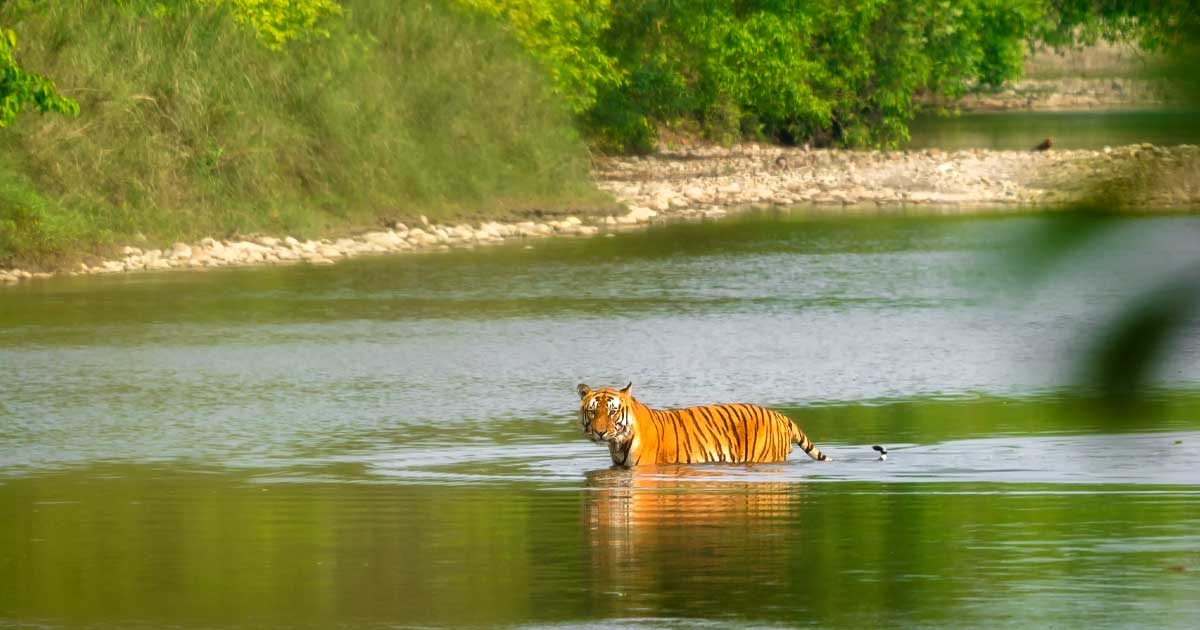 Bardia National Park Tour - 3 Nights 4 Days Cost with Hotels