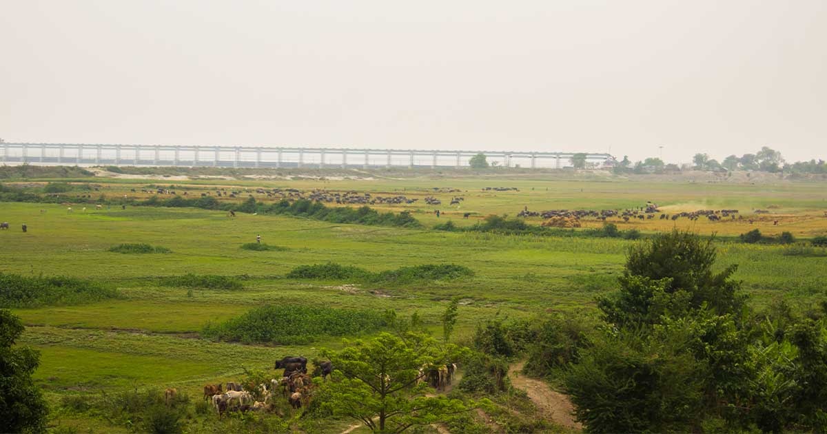 Koshi Tappu Wildlife Reserve Camp - 4 Days Tour, Cost and Hotels