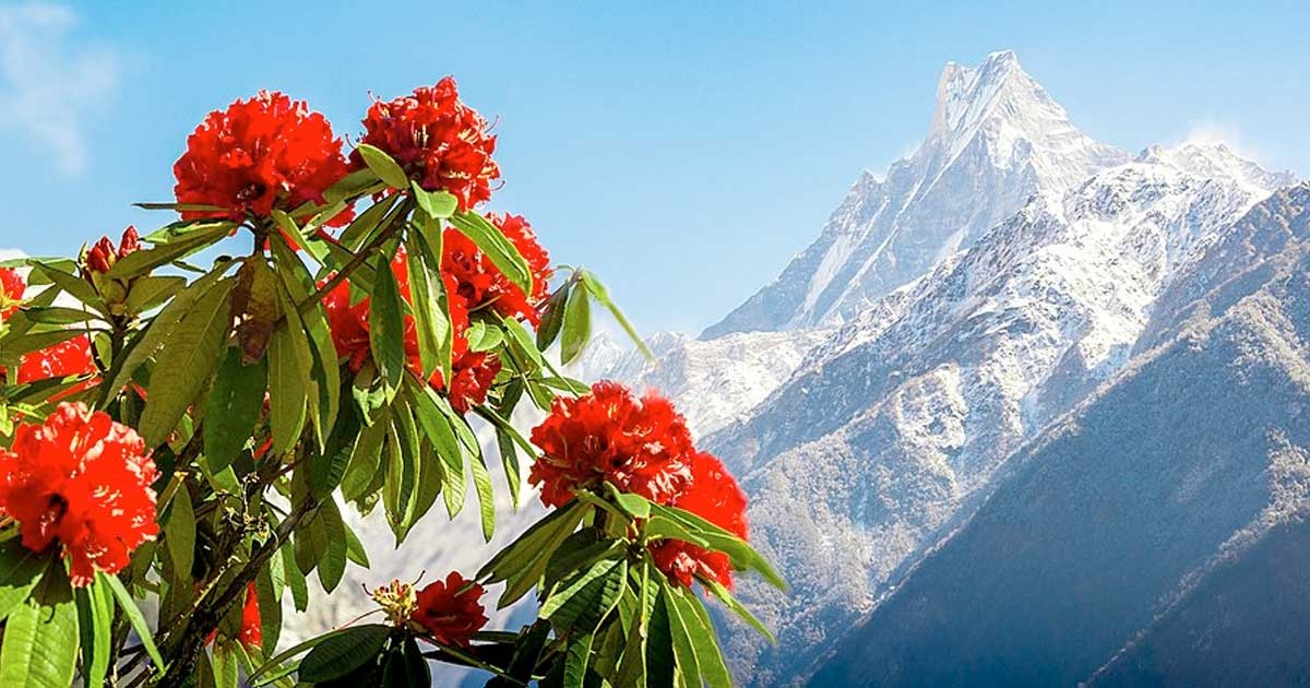 25 Best Places to Travel in Nepal During Spring Season